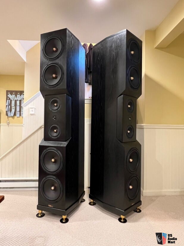 Tyler Acoustics D10 Loudspeakers - Must See! Photo #4447605 - US Audio Mart