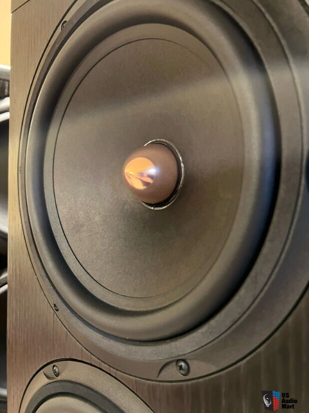 Tyler Acoustics D10 Loudspeakers - Must See! Photo #4447609 - Aussie ...