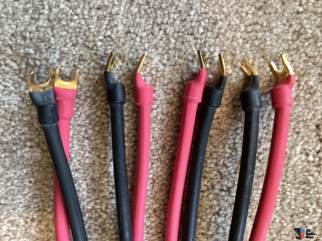 Audiodyne Wavelength Bi-Wire Speaker Cable 12 feet For Sale - US Audio Mart