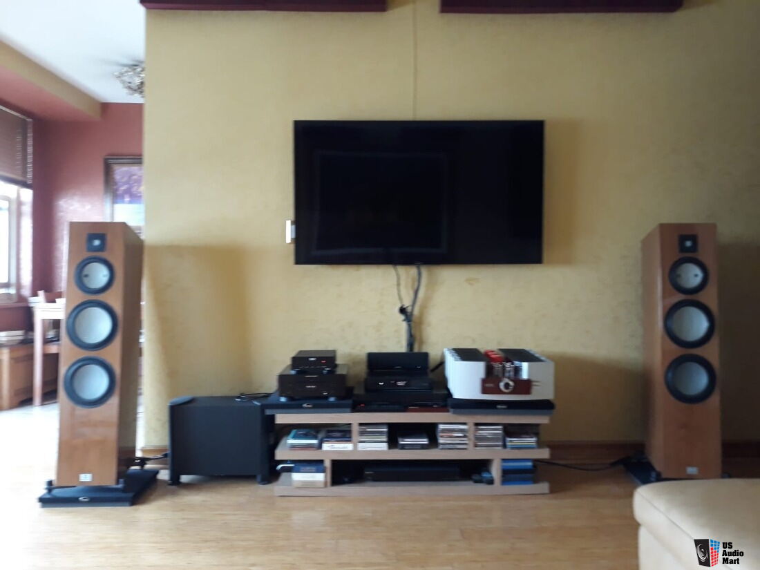 Ayon Audio Scorpio 2020 Photo #4224853 - Canuck Audio Mart