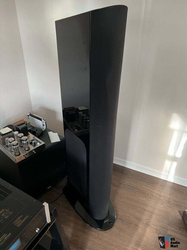 Goldenear Triton Reference (Pair) Superb Condition Photo #4458264 - US ...