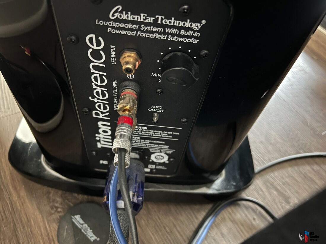 Goldenear Triton Reference (Pair) Superb Condition Photo #4458264 - US ...