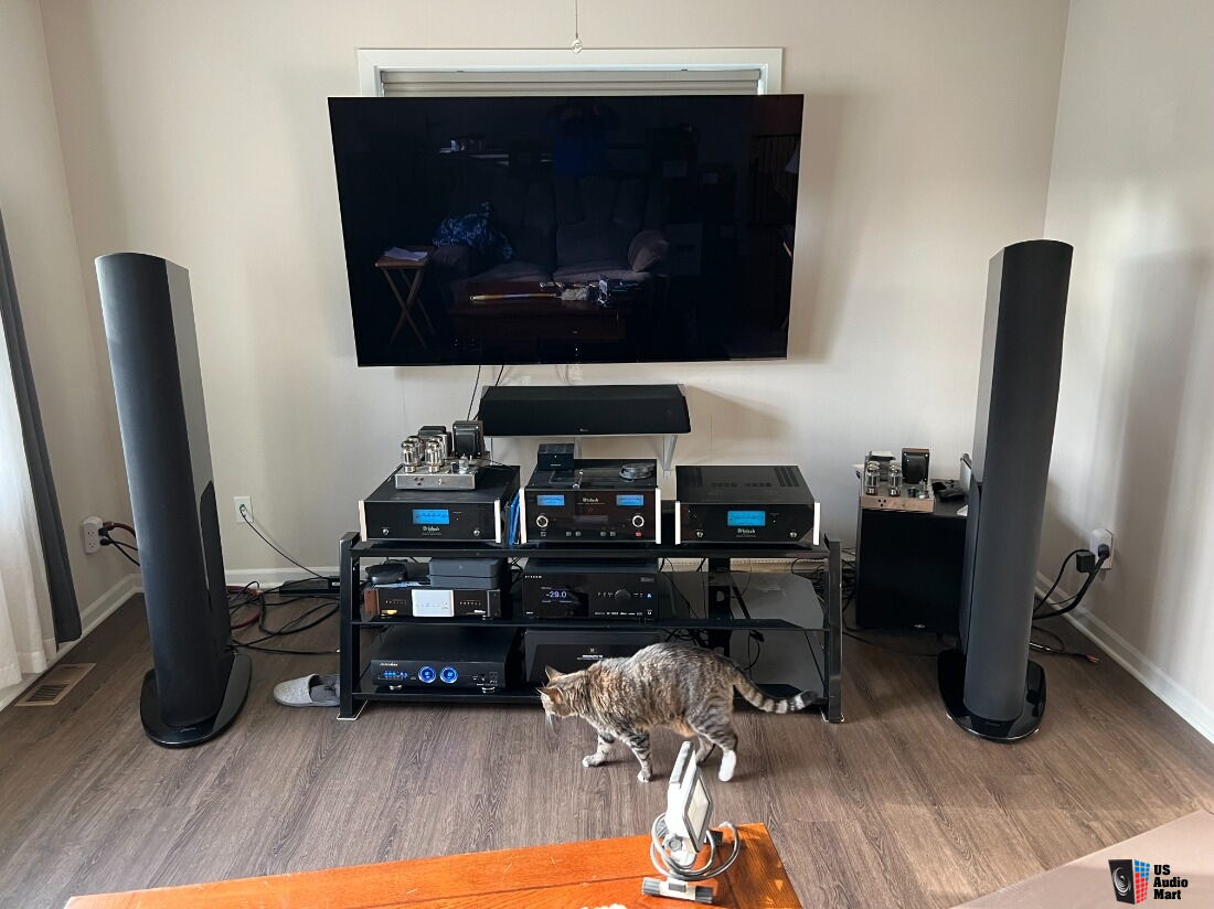 Goldenear Triton Reference (Pair) Superb Condition Photo #4458268 - US ...