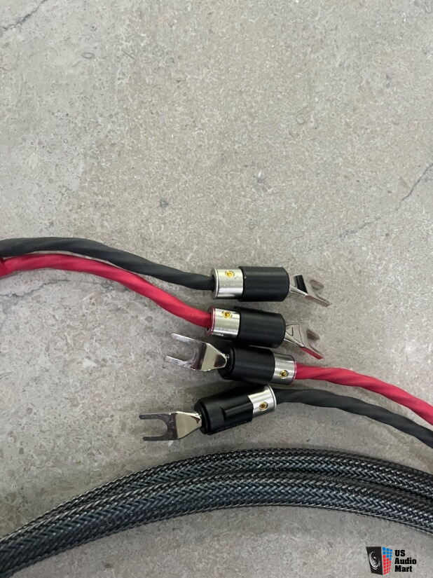 Audio Art AAC e Statement SC Cryo treated 12-ft pair Speaker Cables ...