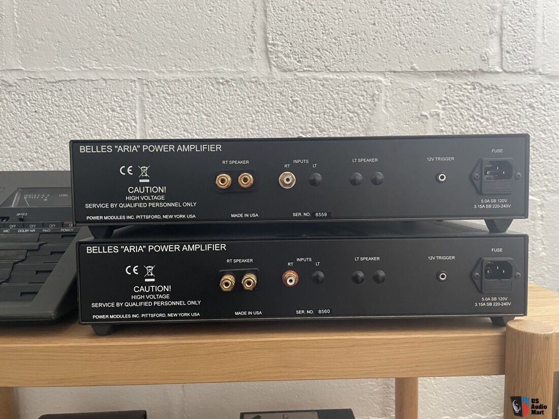 Belles Aria Monoblock Amplifiers (pair) Photo #4459851 - US Audio Mart