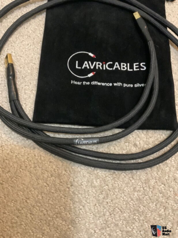 Lavricables LAVRI MASTER 20 Core Dual Silver USB Cable (1 meter) Photo ...