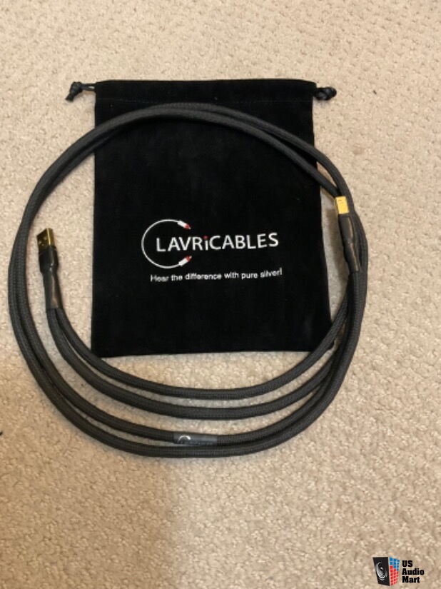 Lavricables LAVRI MASTER 20 Core Dual Silver USB Cable (1 meter) Photo ...