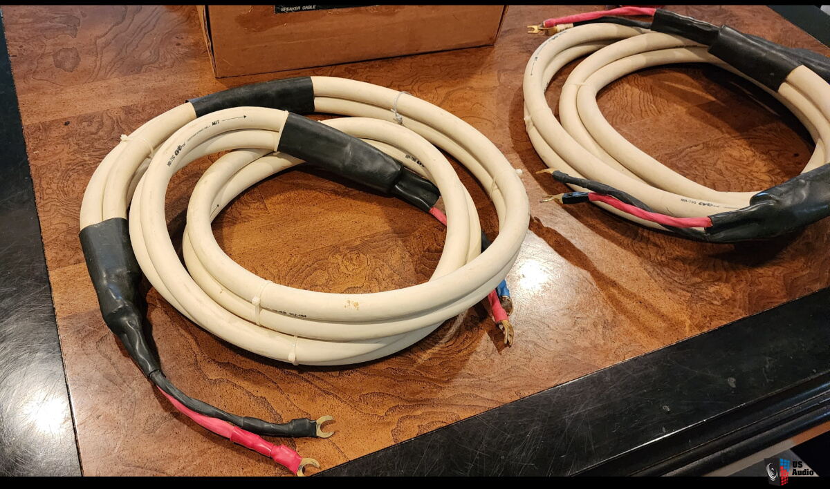 MIT Speaker Shotgun Cable Photo #4464263 - US Audio Mart