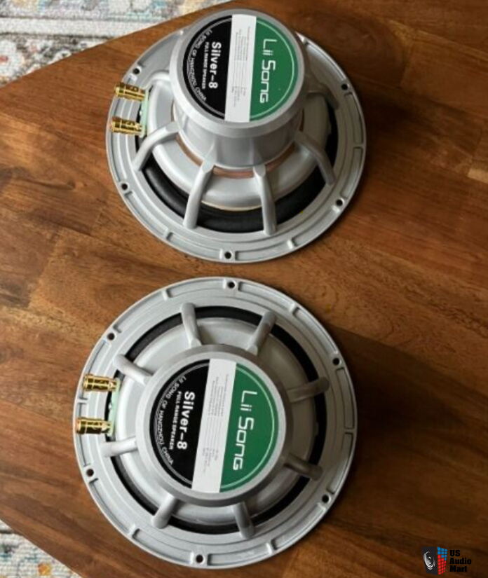 Lii Audio Silver 8 pair - Mint condition Photo #4464758 - US Audio Mart
