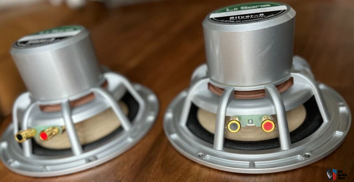 Lii Audio Silver 8 pair - Mint condition Photo #4464758 - US Audio Mart