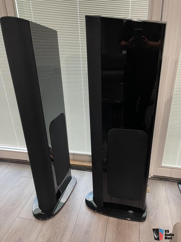 Goldenear Triton Reference (Pair) Excellent Condition Photo #4470801 ...
