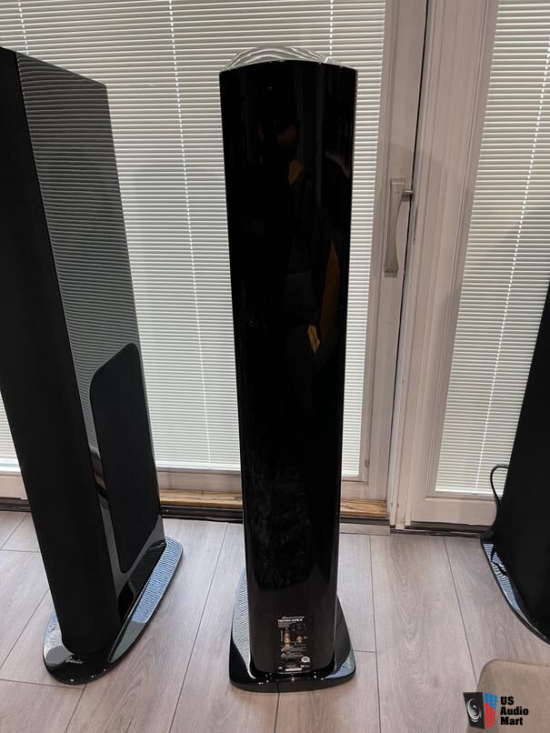 Goldenear Triton Reference (Pair) Excellent Condition Photo #4470802 ...