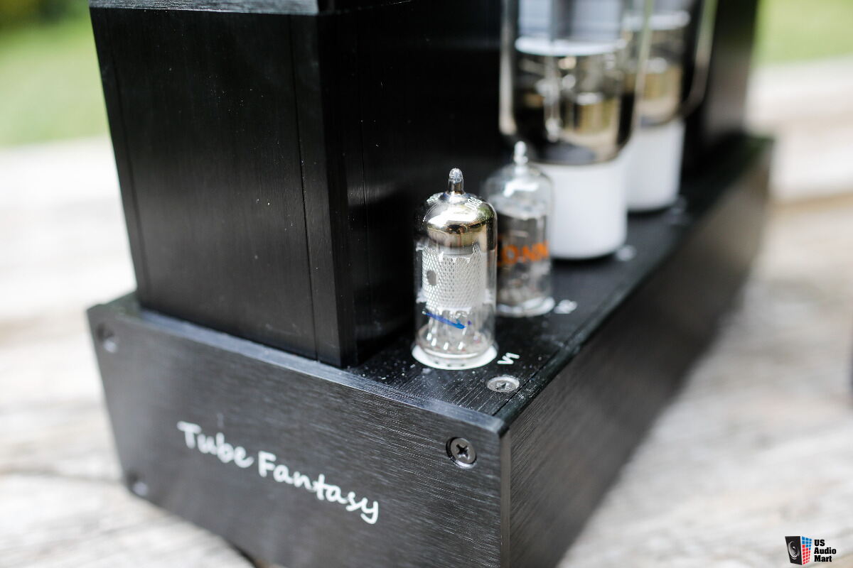 Tube Fantasy 2A3 push pull monoblocks Photo #4472734 - US Audio Mart