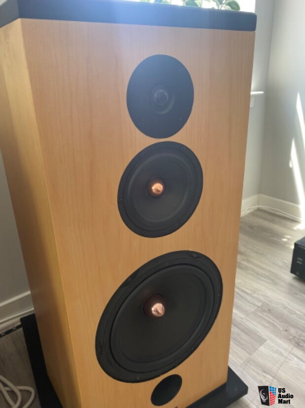 Tyler Acoustics MM5 Monitors Photo #4472977 - UK Audio Mart