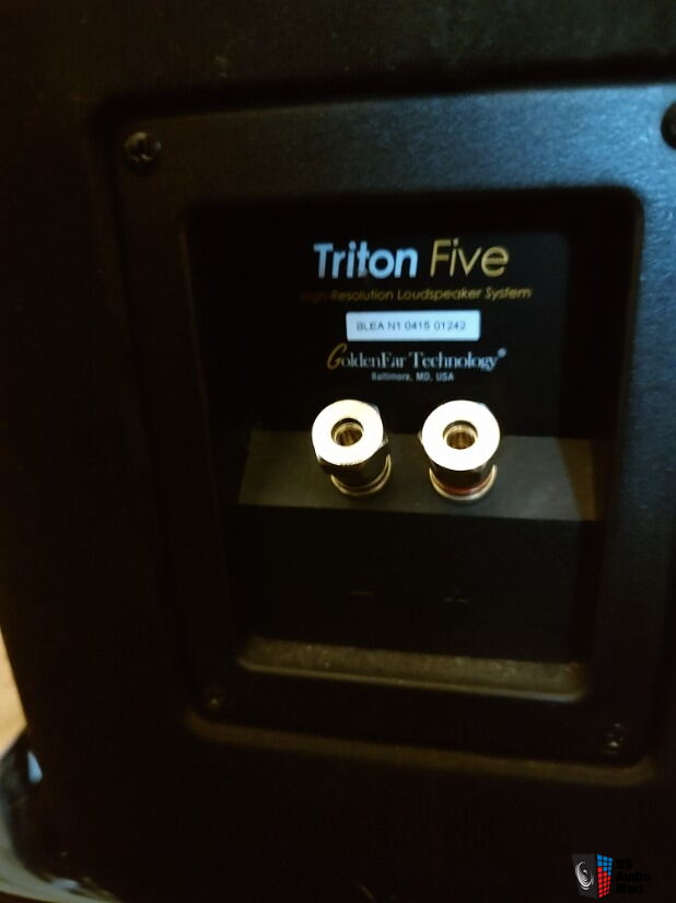 Goldenear Triton 5 speakers. Very detailed sound with AMT tweeter ...