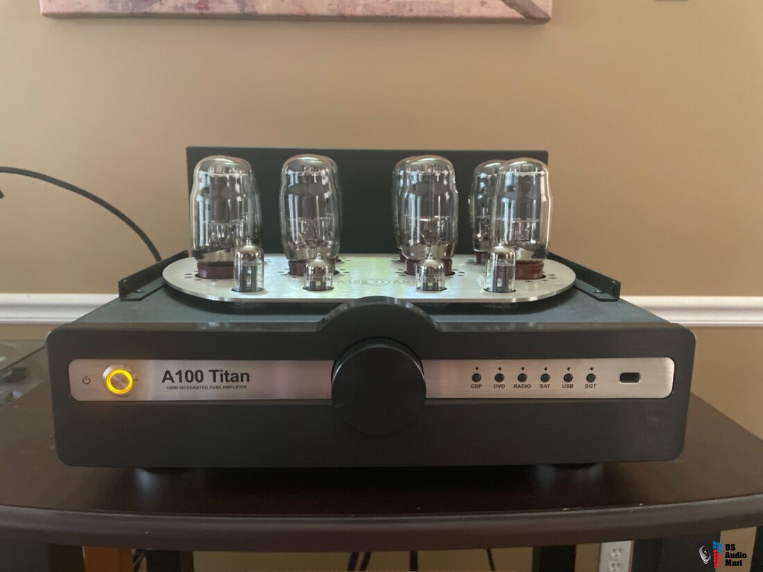 Synthesis A100 Titan integrated amplifier w/DAC Photo #4486700 - US ...