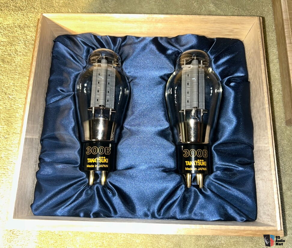 Takatsuki TA-300B tubes., .... PENDING Photo #4491654 - US Audio Mart
