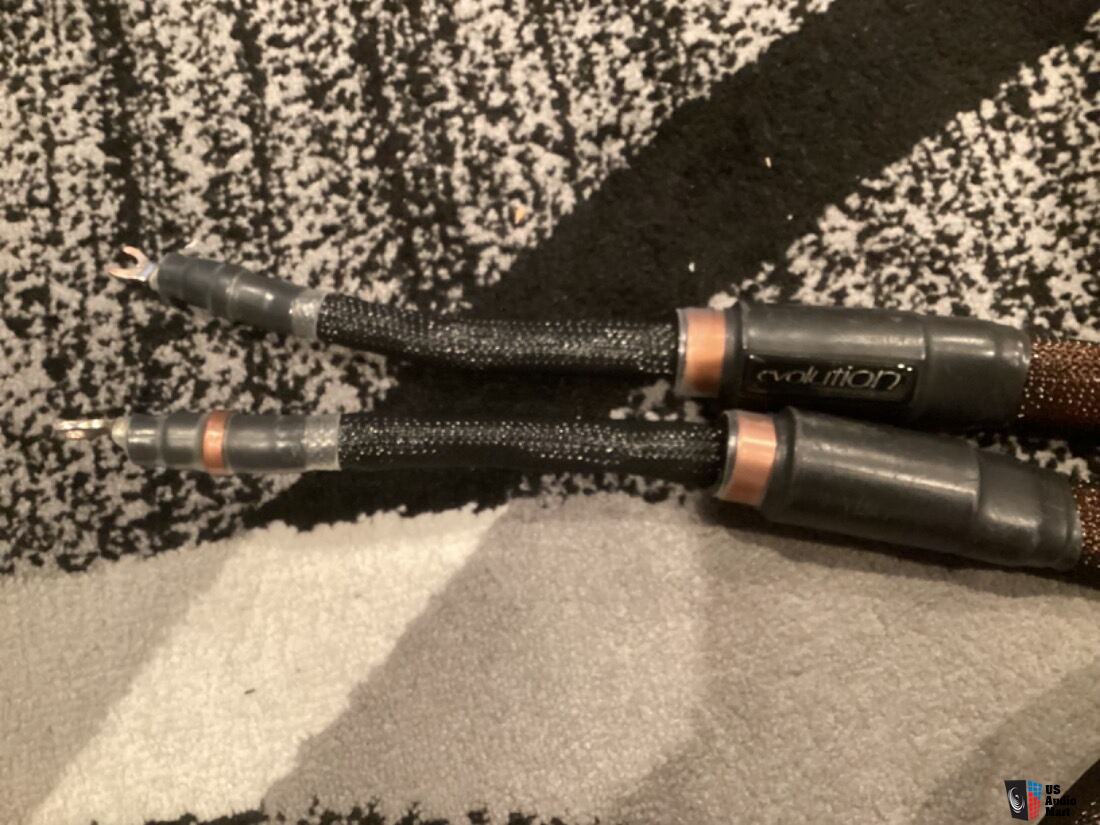 Evolution Acoustics DRSC speaker cables Photo #4493470 - UK Audio Mart