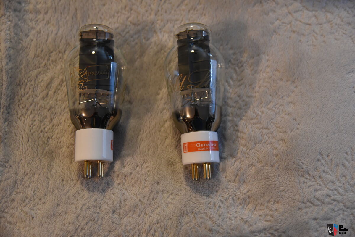 A pair of Cary Audio CAD-805 monoblocks Photo #4508924 - Canuck Audio Mart