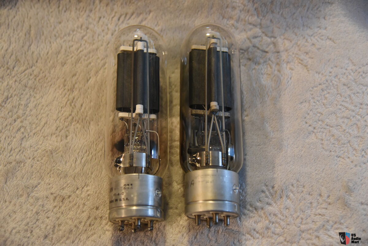 A pair of Cary Audio CAD-805 monoblocks Photo #4508927 - Canuck Audio Mart