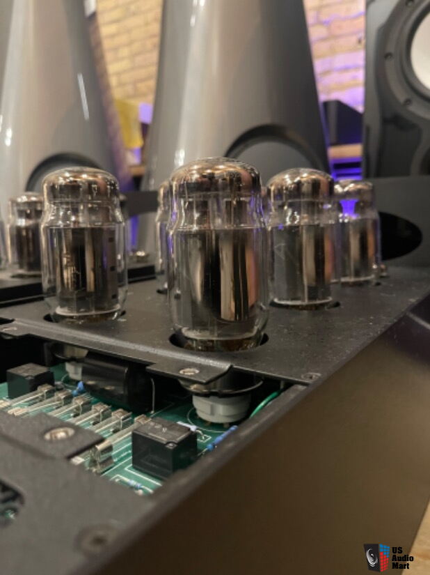 Rogue Audio Apollo Dark monoblocks Photo #4514457 - US Audio Mart