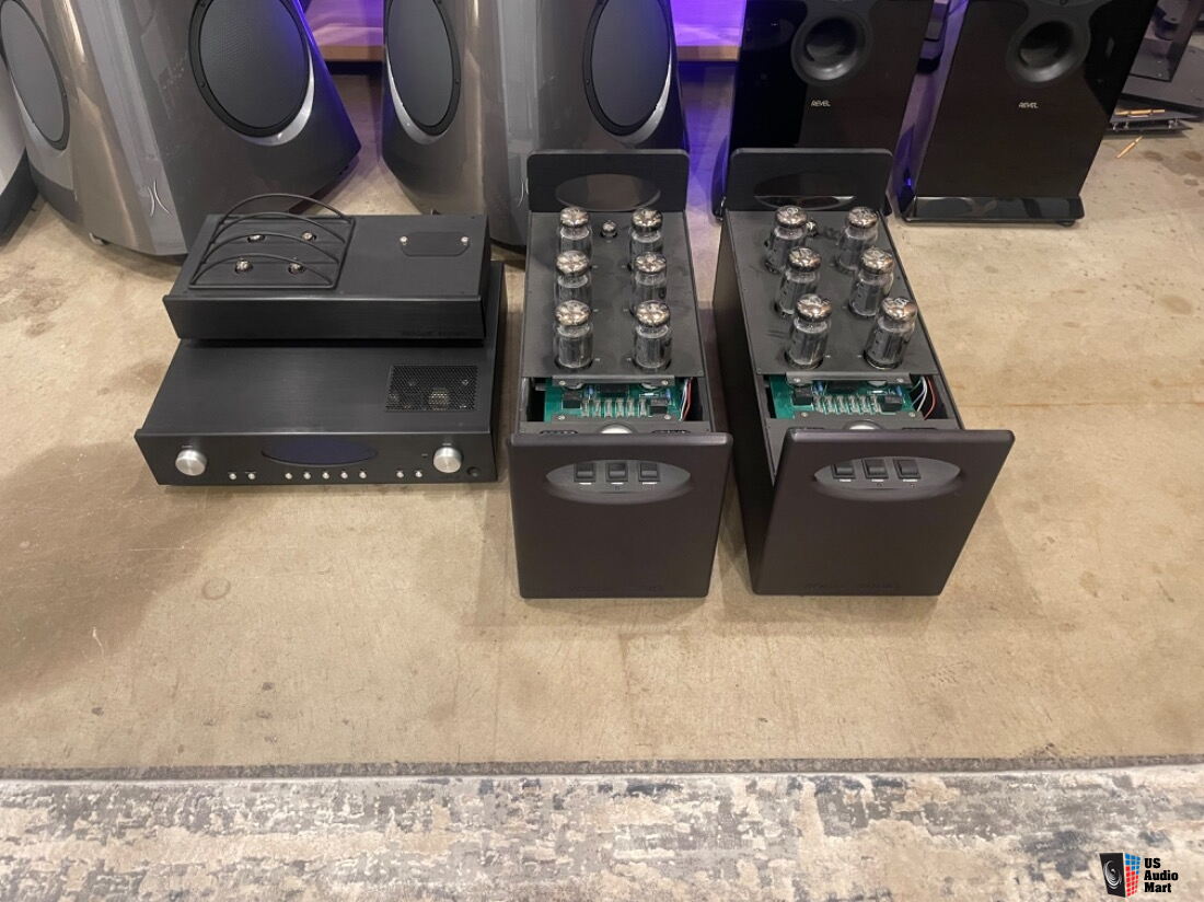 Rogue Audio Apollo Dark monoblocks Photo #4514457 - US Audio Mart