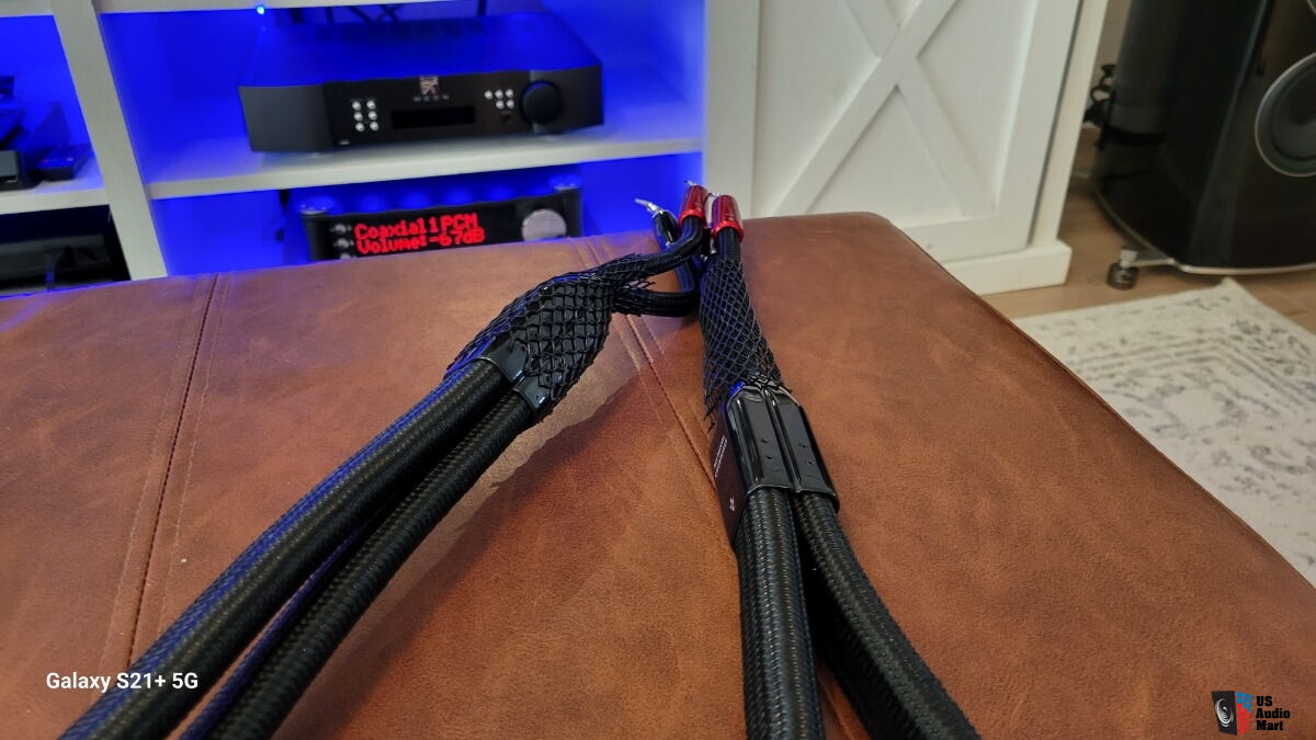 Audioquest Dragon Mytical Creature Zero/Bass Biwire speakers cables 6 ...