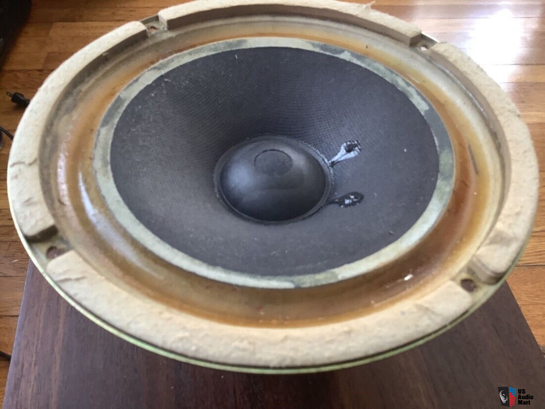 EAS-16P68S Alnico Woofer/Full Range Speaker - 16 cm. A-MA-ZING!!! For ...