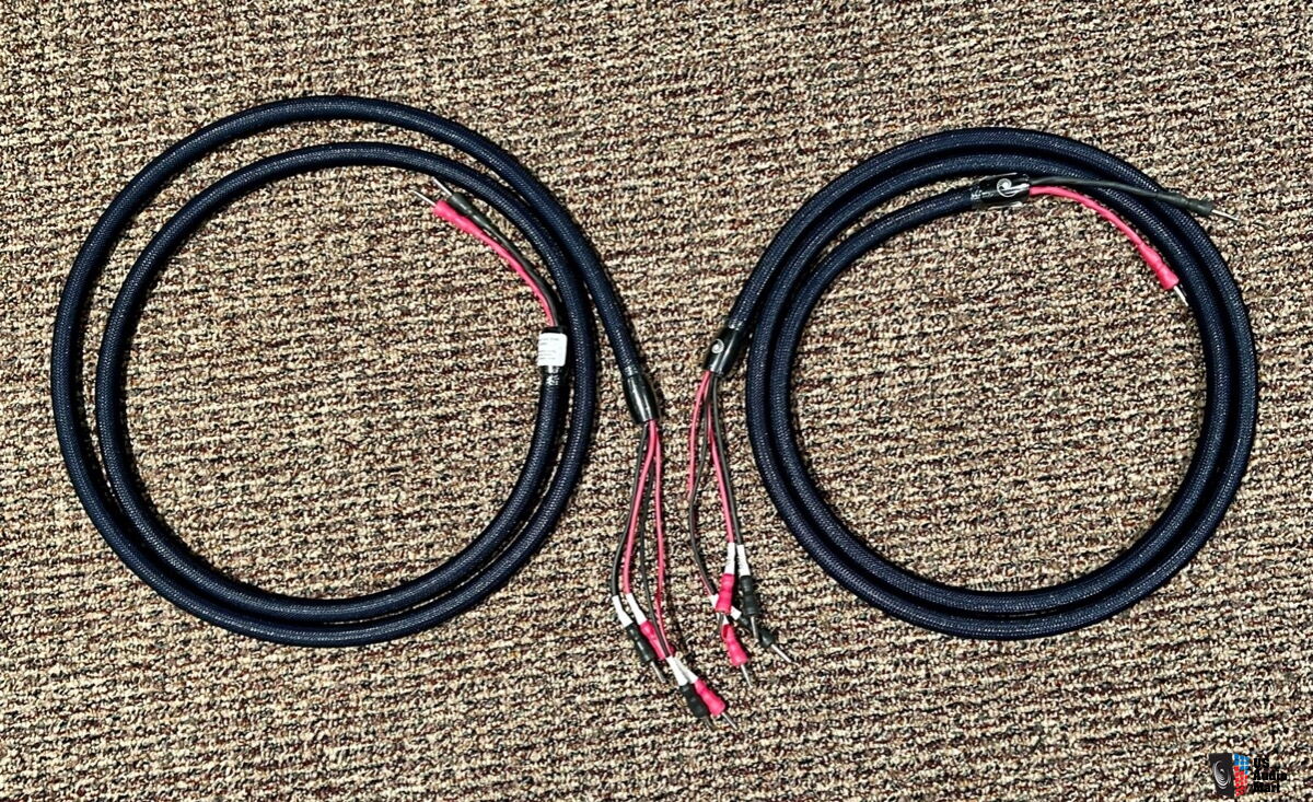 Cardas CYGNUS Speaker Cables 3 meter BI-WIRE with banana terminals all ...