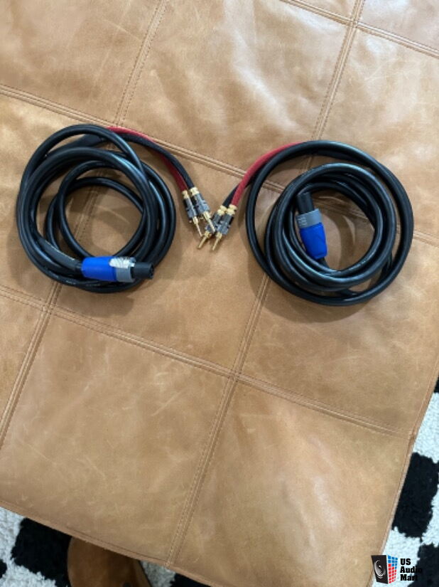 Benchmark speaker cables Nl2 to locking banana plugs 10ft For Sale - US ...