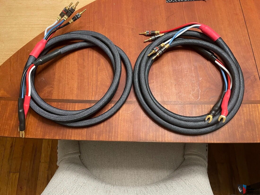 BI Cables Photo #4574267 - US Audio Mart