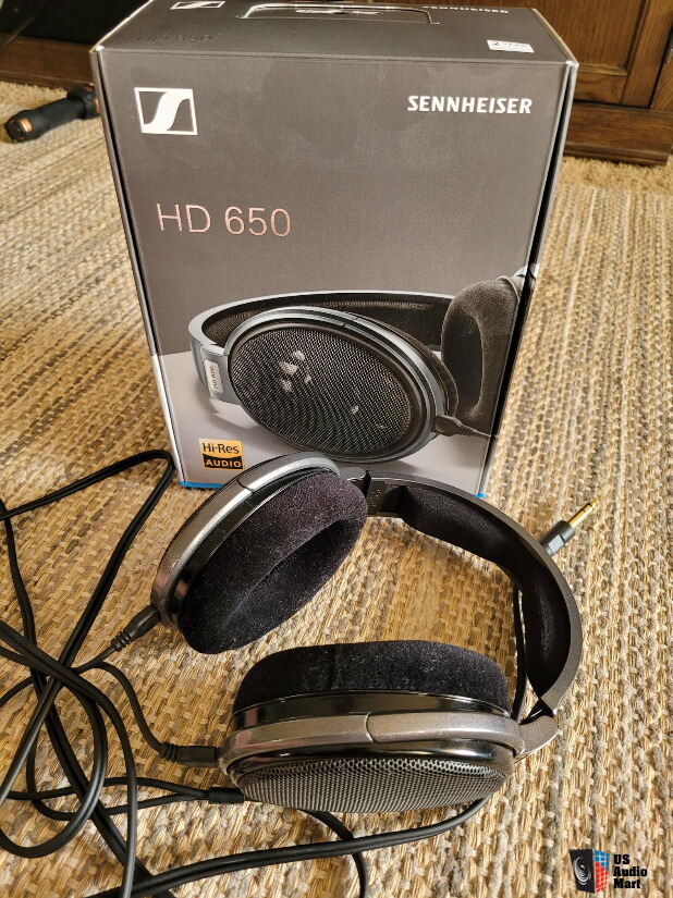 Sennheiser HD650 Headphones Photo #4580612 - US Audio Mart
