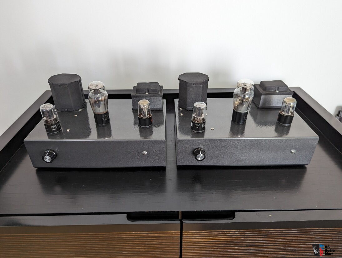 Alan Eaton 45 Monoblock Amplifiers For Sale - US Audio Mart