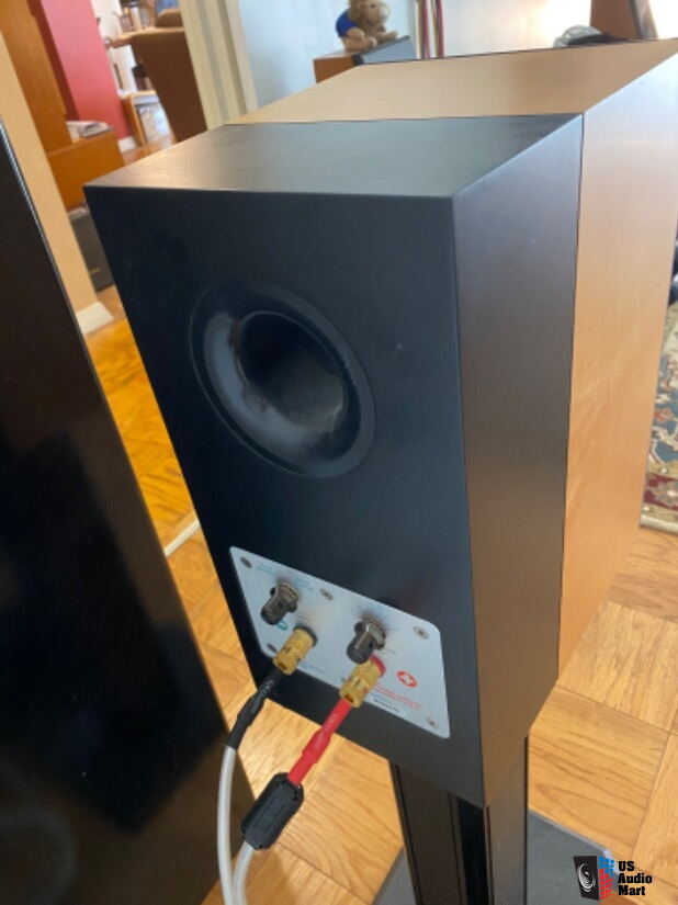 Revel Performa M22 Stand-mount Speakers (Maple) Photo #4607560 - US ...