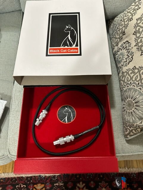 Black cat Tron 1.5M ABS/EBU balanced digital cable Photo #4607927 - US ...