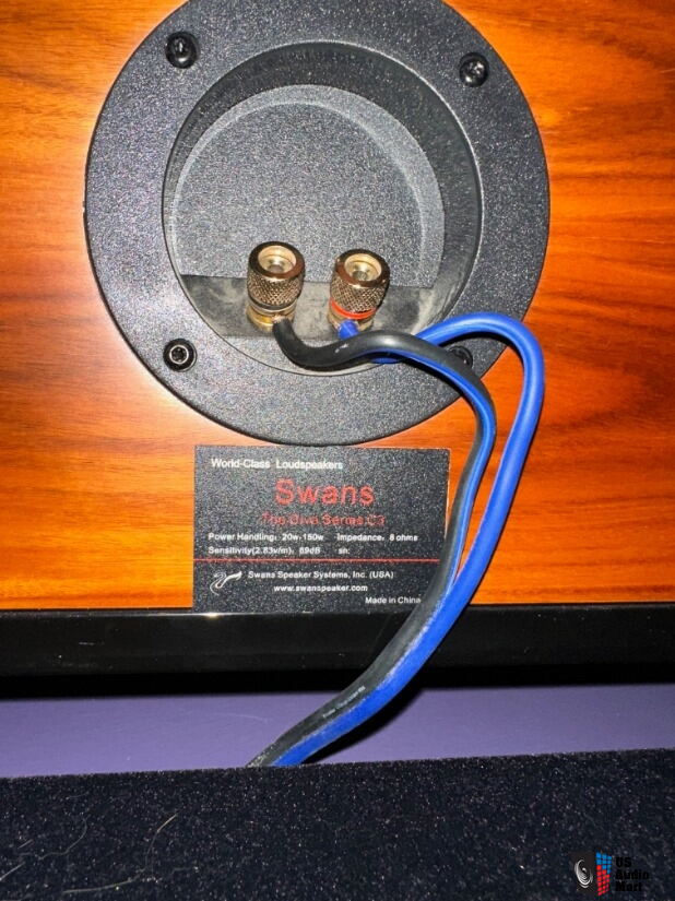 Swan Diva Speakers (4.1,4.2,C3) Photo #4619320 - US Audio Mart