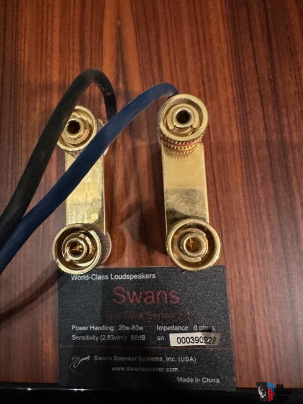 Swan Diva Speakers (4.1,4.2,C3) Photo #4619322 - US Audio Mart