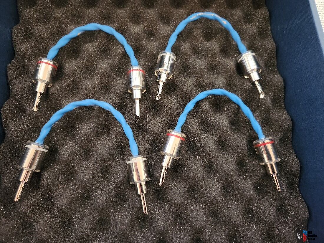 Siltech Classic Anniversary 550L jumpers Photo #4627489 - US Audio Mart