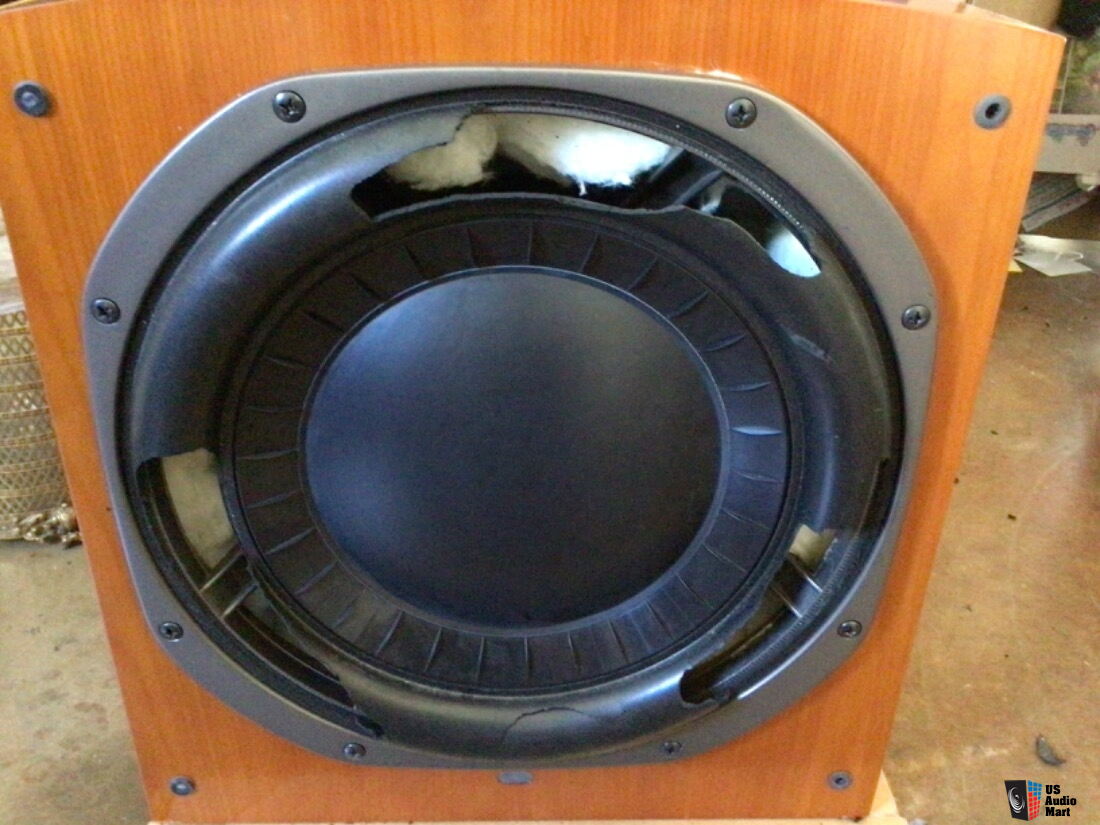 Paradigm Signature Servo Powered Subwoofer Amplifier Photo #4637792 ...