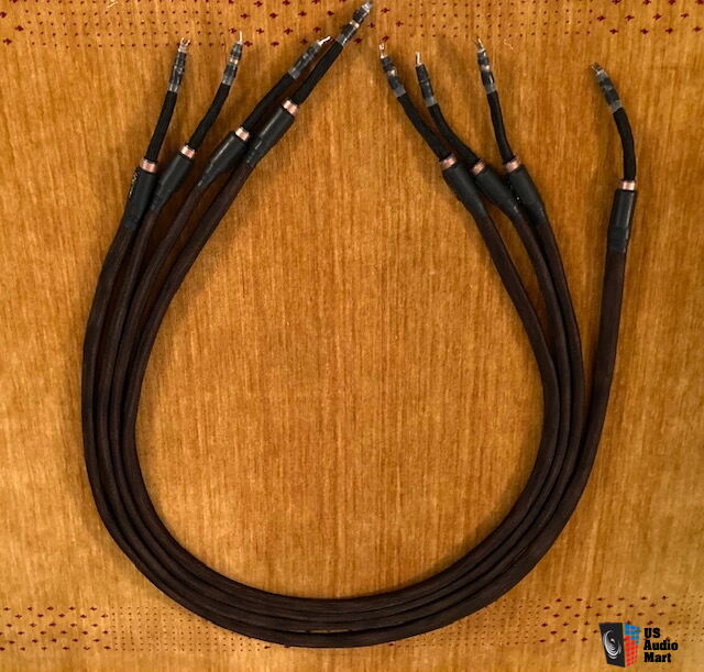 Evolution Acoustics Speaker Cables For Sale - US Audio Mart