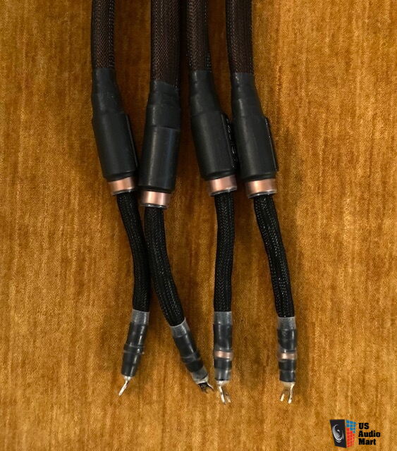 Evolution Acoustics Speaker Cables Photo #4642706 - US Audio Mart