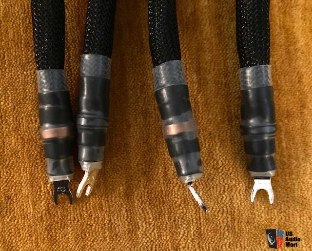 Evolution Acoustics Speaker Cables Photo #4642709 - Canuck Audio Mart