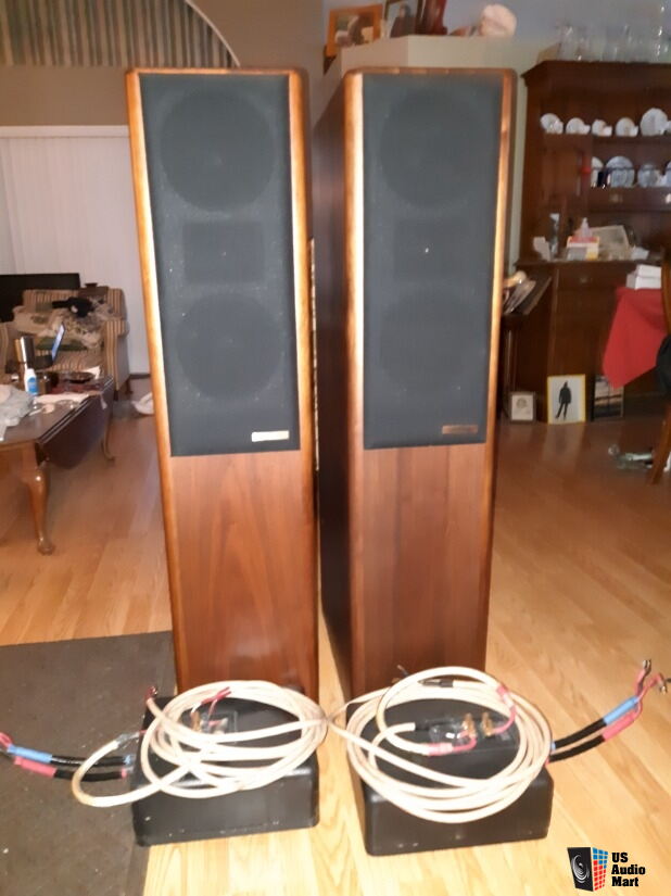 Rare Hales Audio System Two Signature Speaker Best Offer For - US Audio ...