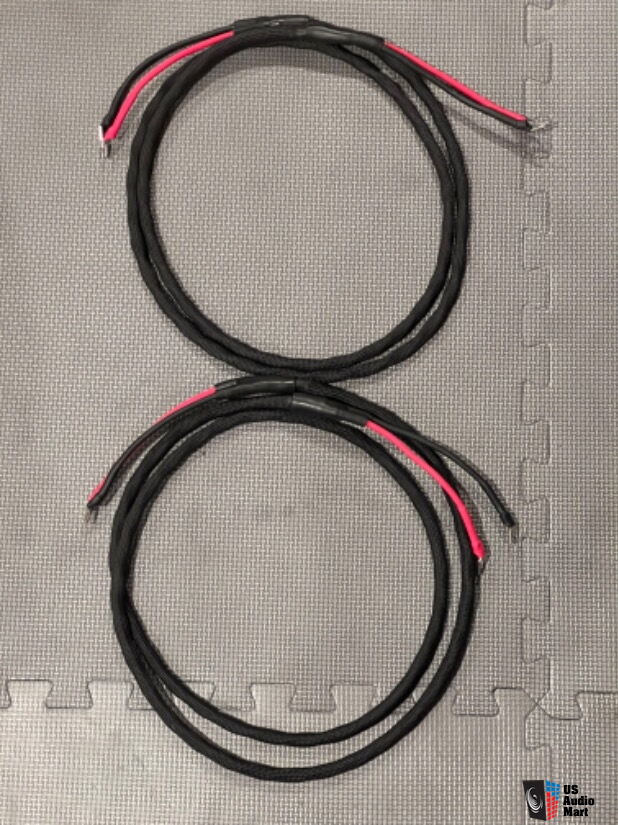 DCA10GA Speaker Cables For Sale - US Audio Mart