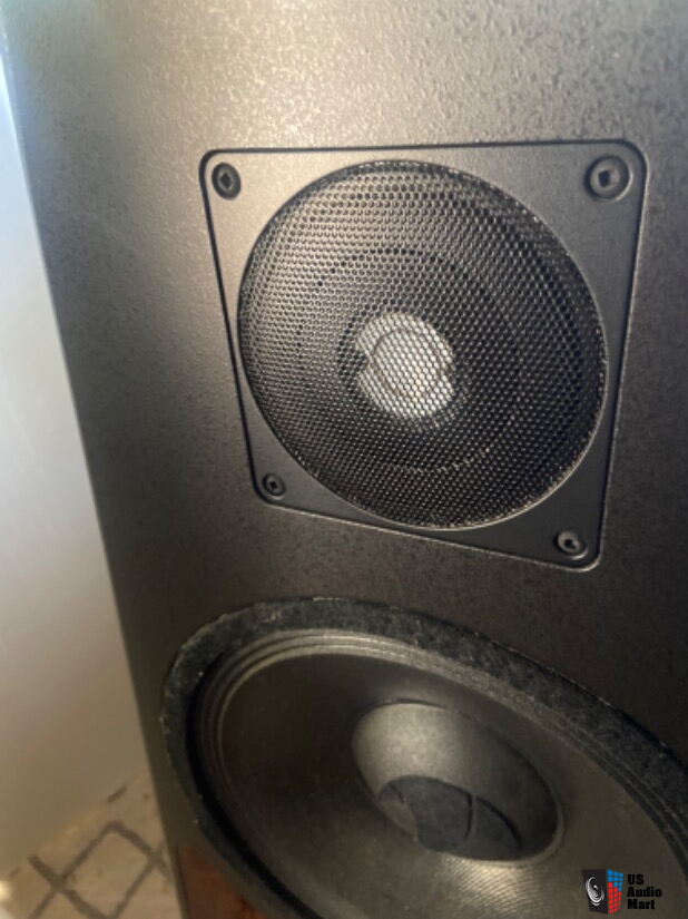 Talon raven c burl wood speakers Photo #4646413 - US Audio Mart