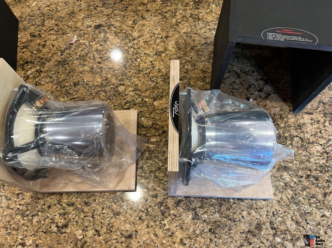 Voxativ AC-X 8" Full Range Field Coil Driver Set of Two Photo #4647718 ...