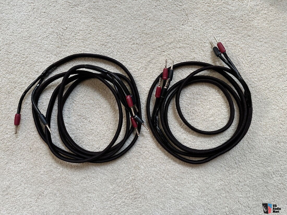 AudioQuest - Rocket 33 10' Pair Bi-Wire Speaker Cable, Silver Banana ...