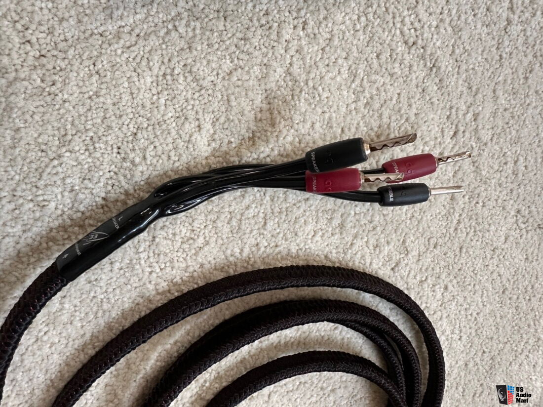 AudioQuest - Rocket 33 10' Pair Bi-Wire Speaker Cable, Silver Banana ...