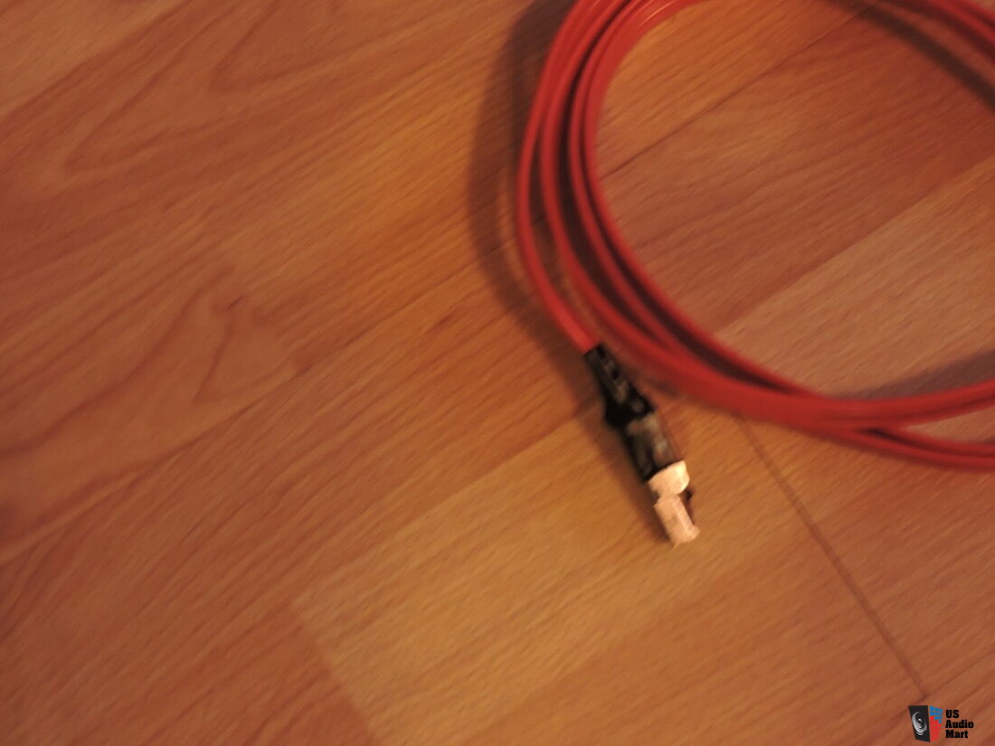Wireworld Starlight 8 ethernet cable 2 meters Photo #4656146 - US Audio ...