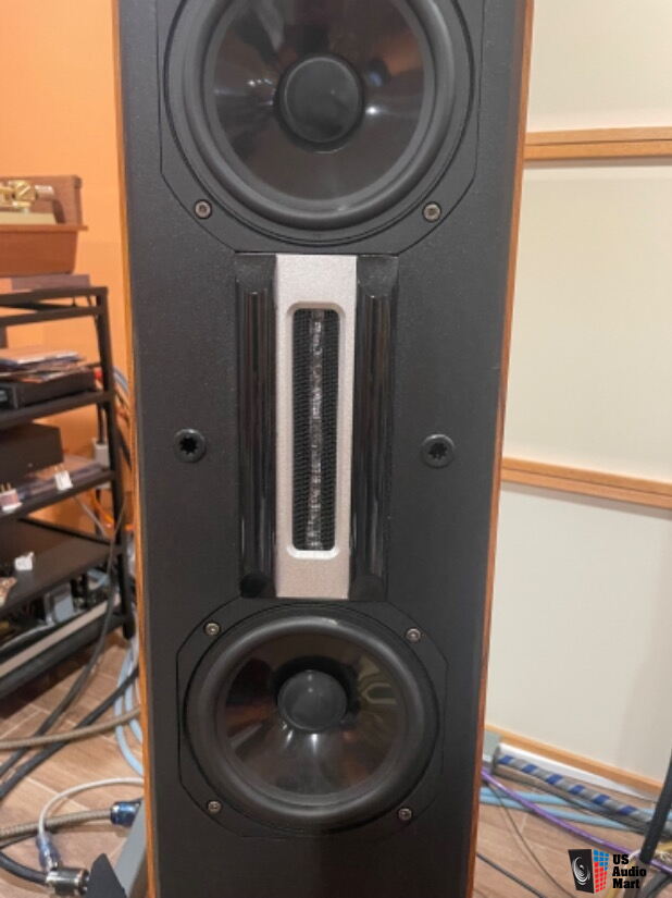 Red Rose Classic Photo #4657370 - US Audio Mart